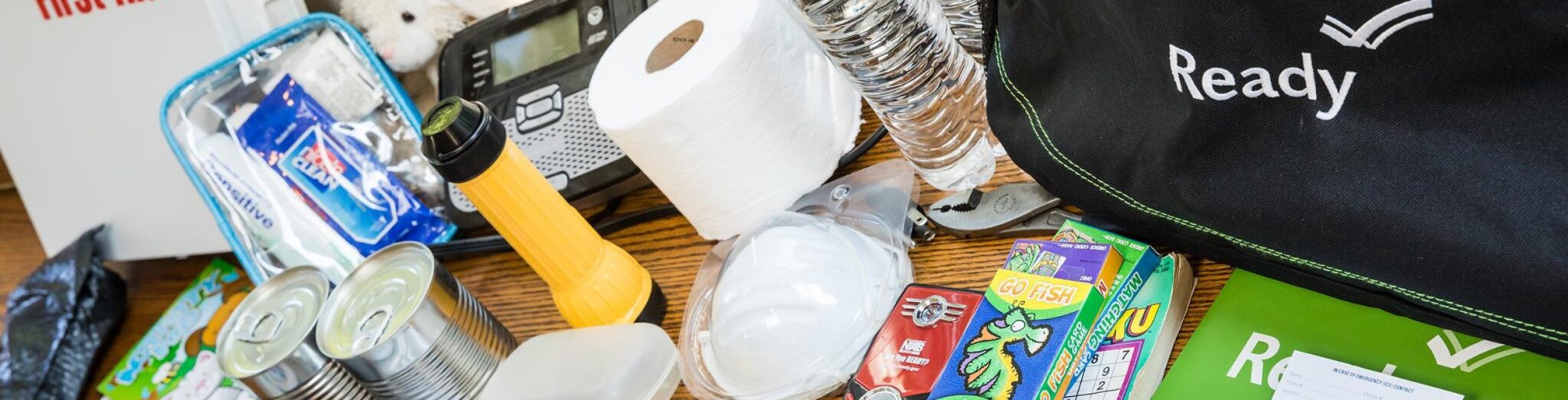 How Did We Get Here? Hurricanes, Disaster Preparedness, and the ...