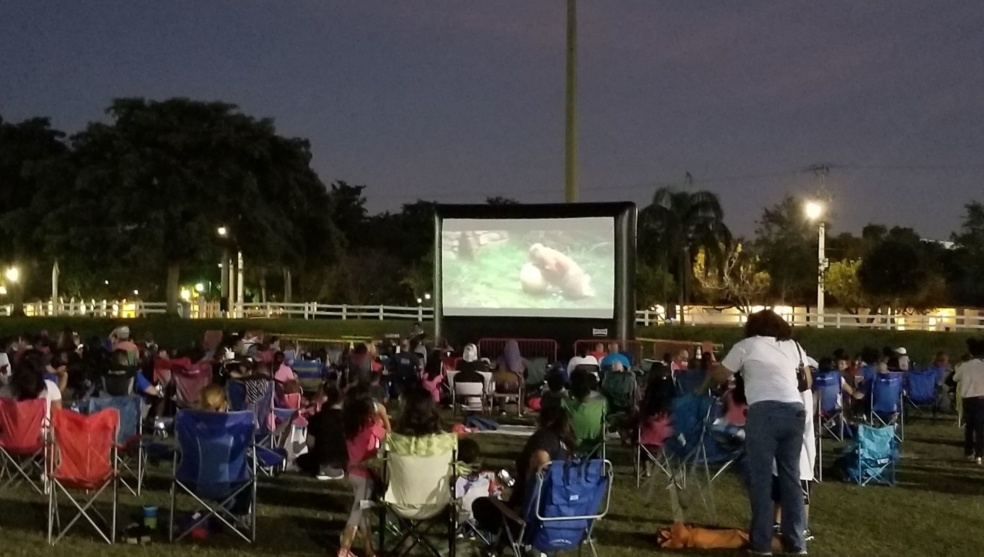 Around Town: Things to Do – Tamarac Post